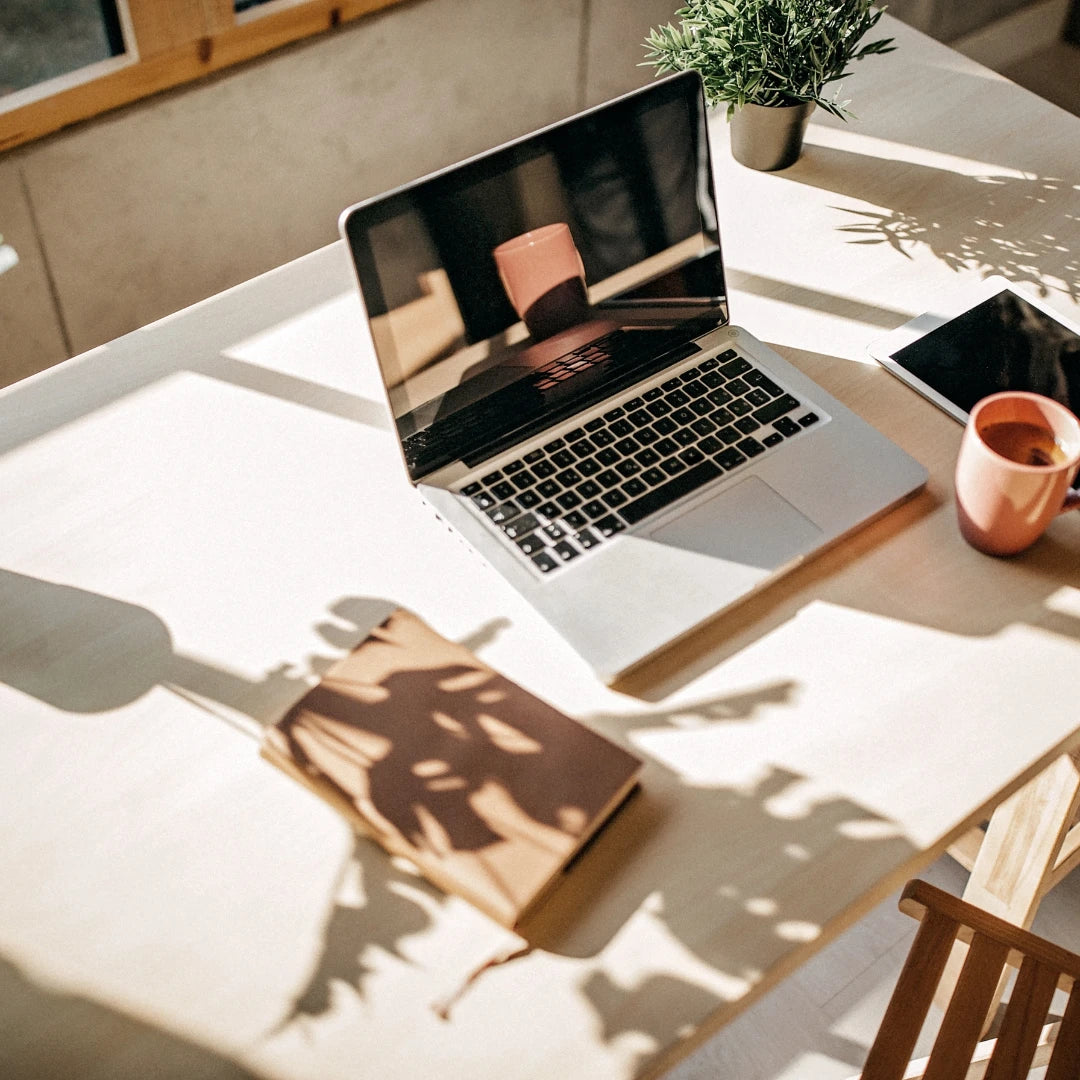 Office – Planet Newbie